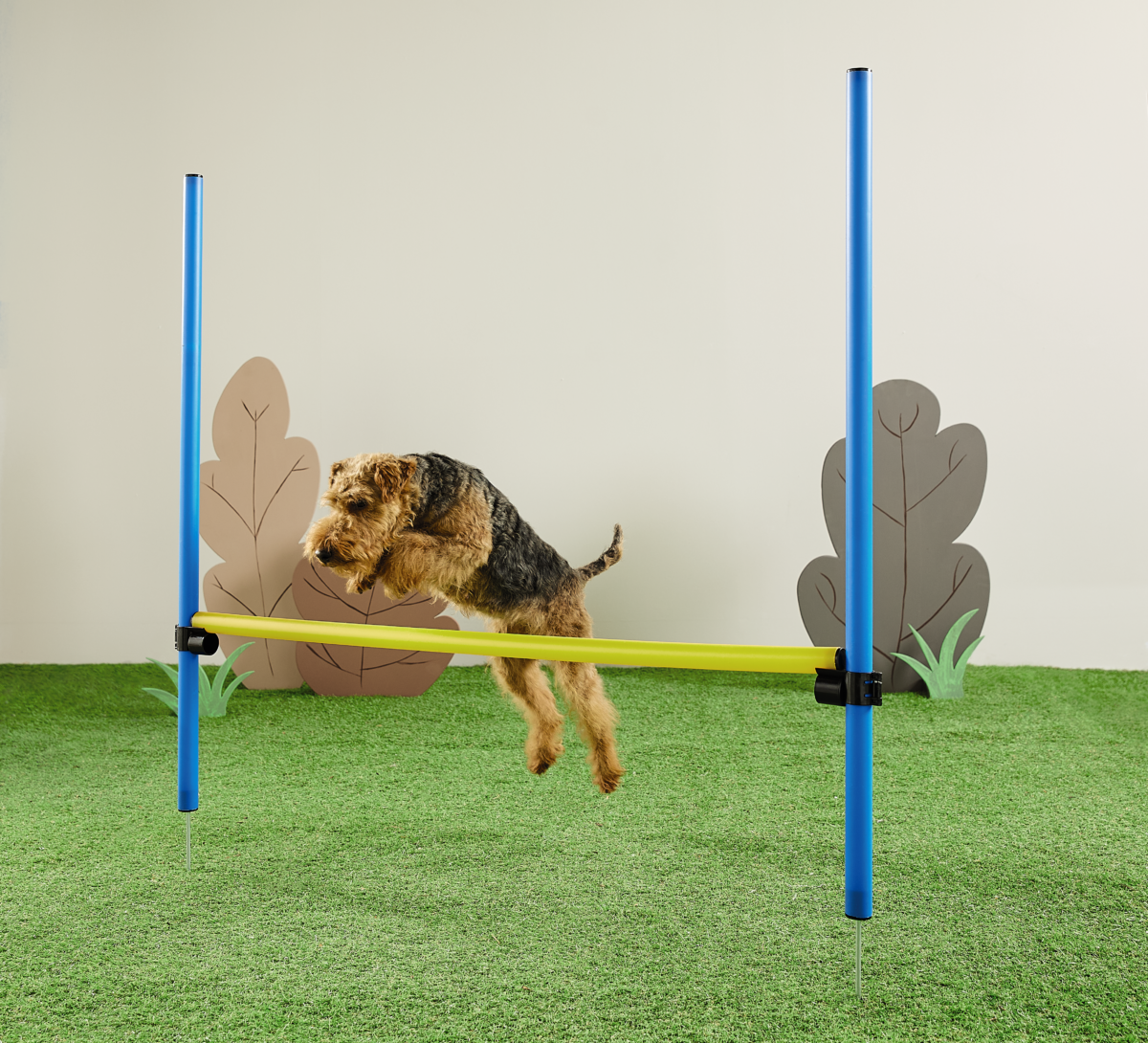 ALDI’S PET EVENT RETURNS, INCLUDING BARGAIN PET BEDS, GROOMING MITTS ...