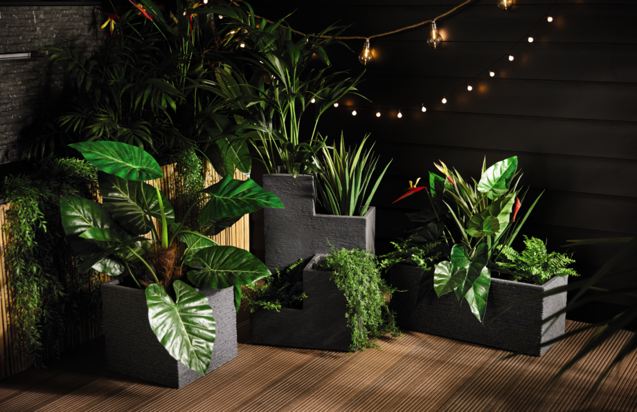 SHOPPERS ROOT FOR ALDI’S LATEST GARDEN RANGE – WITH PRICES FROM JUST £2 ...