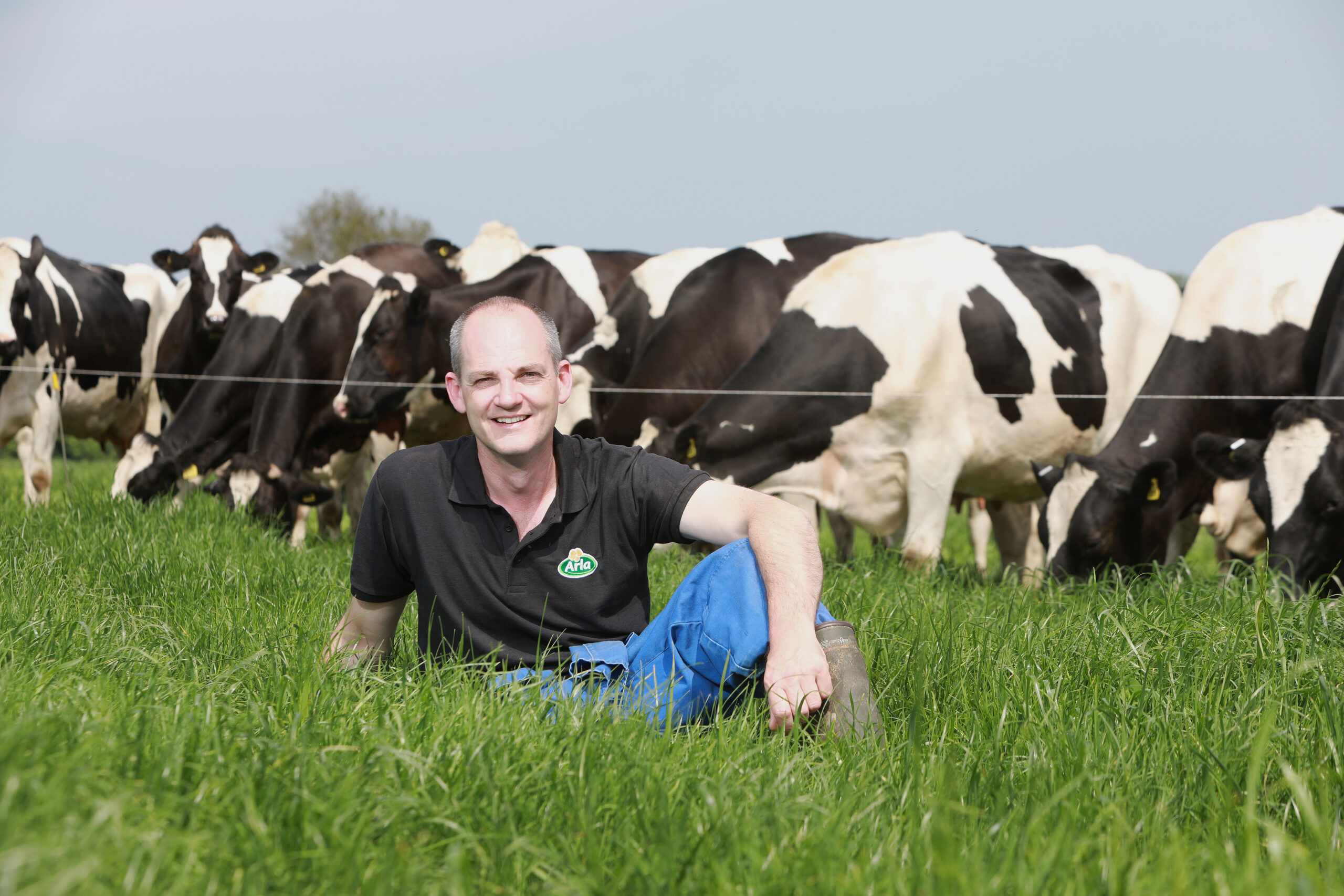 ALDI POURS OVER £30 MILLION INTO SUPPORT FOR DAIRY FARMING - ALDI UK ...