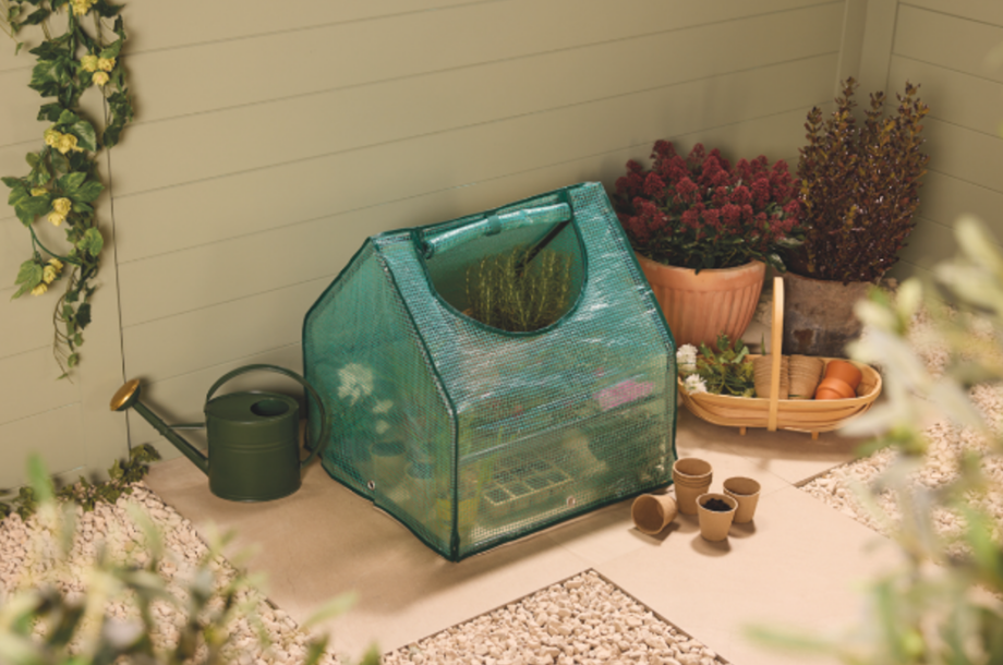 ALDI UNLOCKS SPRING EARLY WITH GAME-CHANGING GARDEN RANGE FROM JUST 99P ...