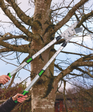 ALDI UNLOCKS SPRING EARLY WITH GAME-CHANGING GARDEN RANGE FROM JUST 99P ...