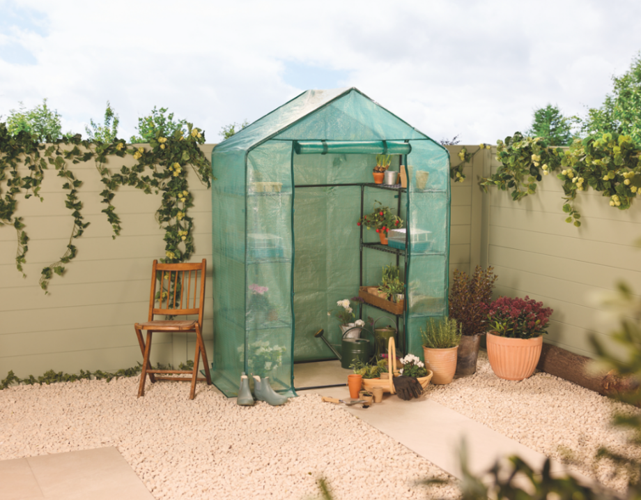 ALDI UNLOCKS SPRING EARLY WITH GAME-CHANGING GARDEN RANGE FROM JUST 99P ...